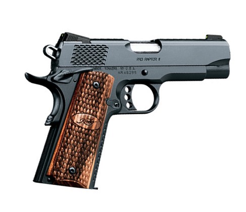 KIMBER PRO RAPTOR II 45ACP 4in. 8+1 - Semi Auto Pistols at GunBroker ...